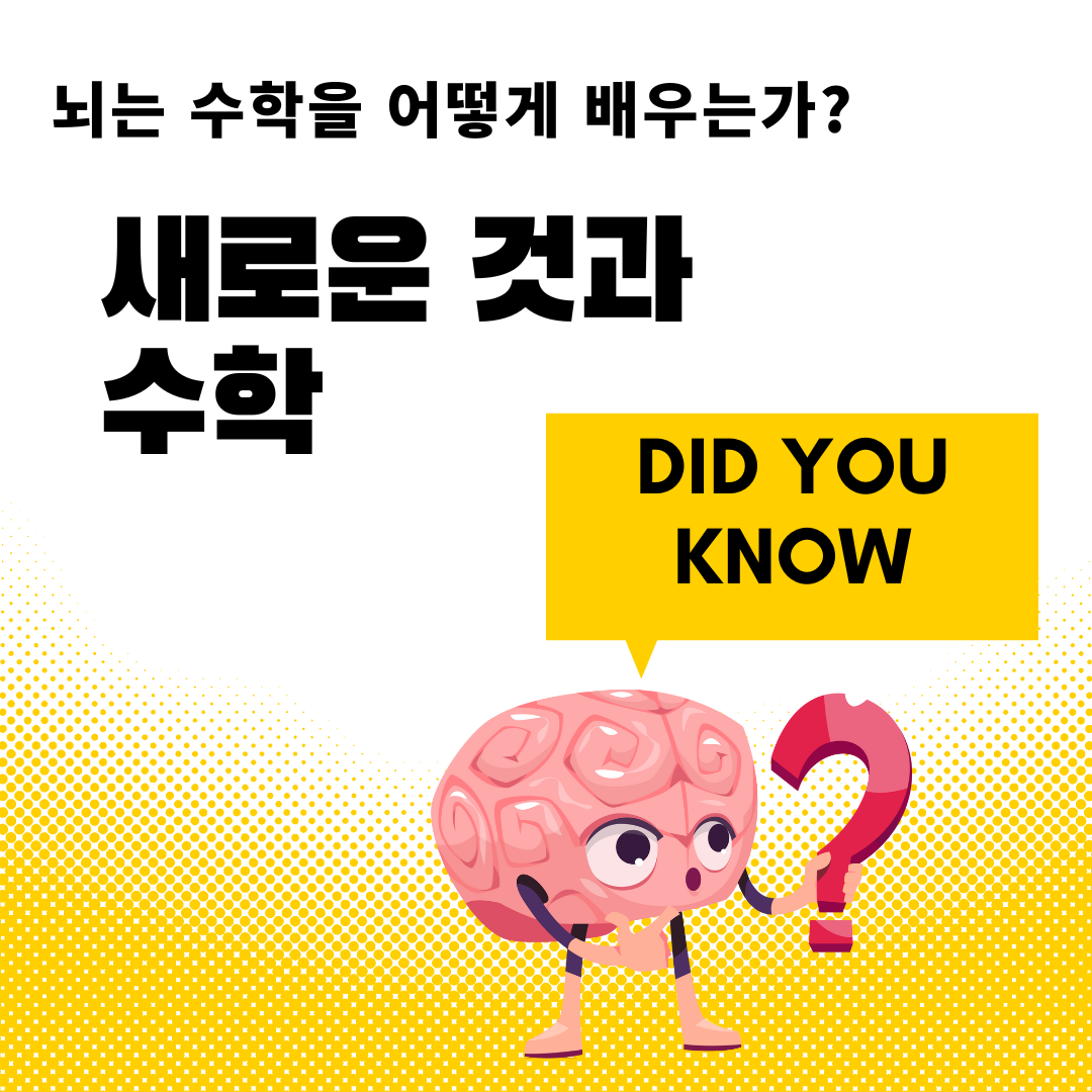 새로운 것과 수학 뇌는 수학을 어떻게 배우는가